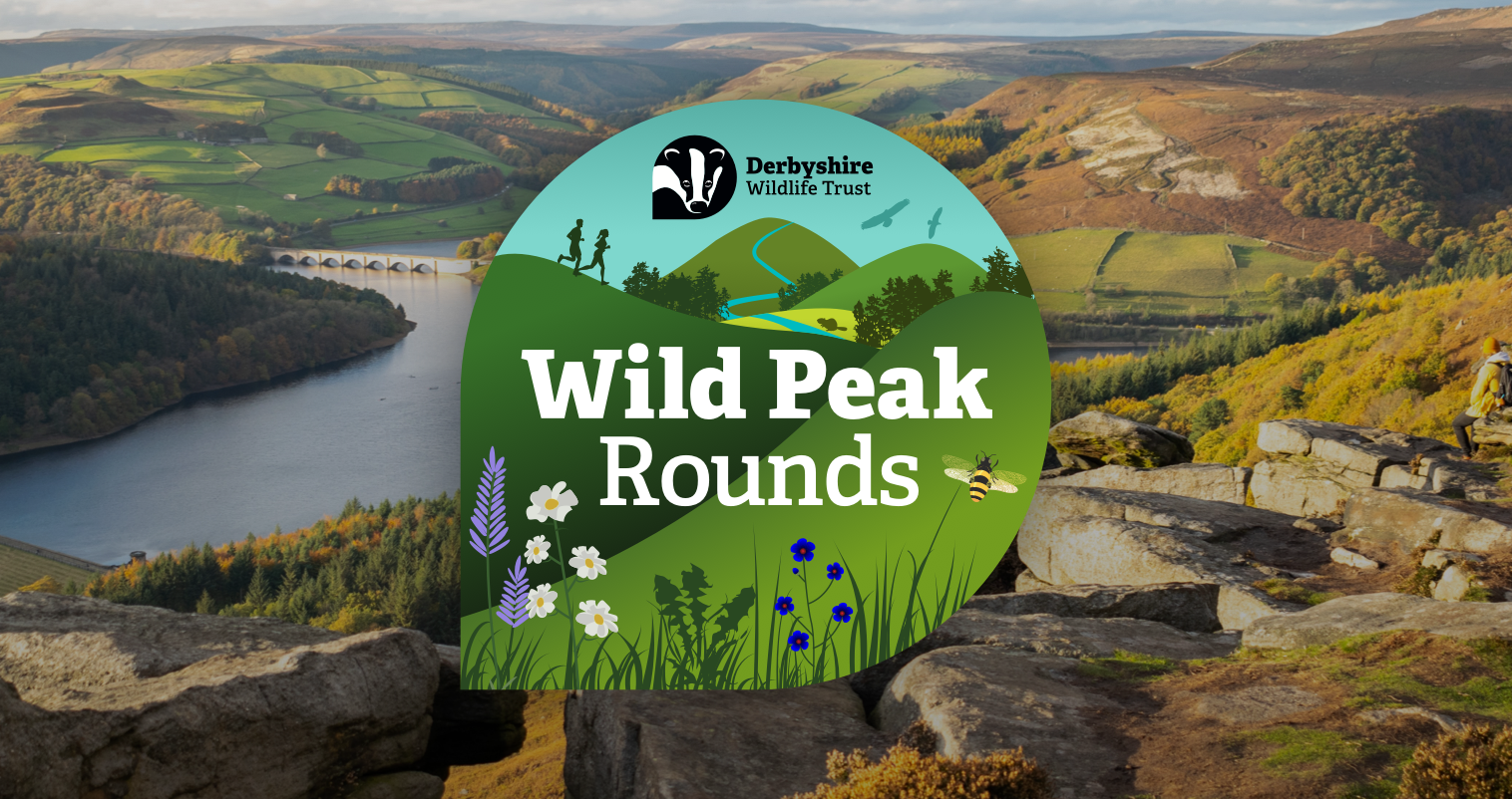 Wild Peak Rounds - Run and walk in the Peak District with Derbyshire ...